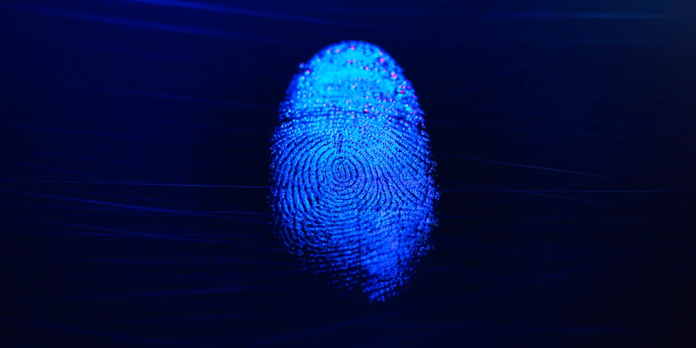 Passkeys: Google’s way into a passwordless future